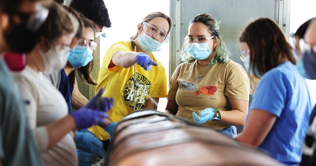 Michigan Engineering - University of Michigan College of Engineering